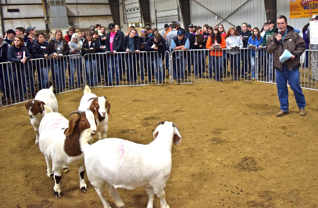 Aggies’ Livestock Judging Contest Draws 1,200 Contestants - Wilmington ...