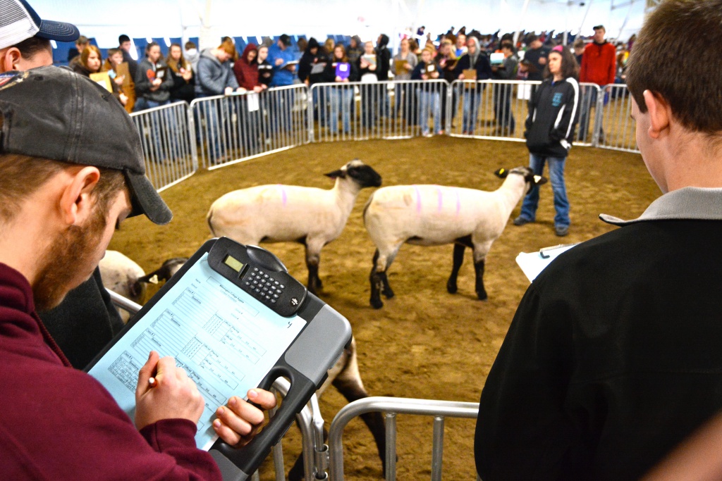 WC Aggies Expect to Draw 1,200-Plus to Livestock Judging Contest ...