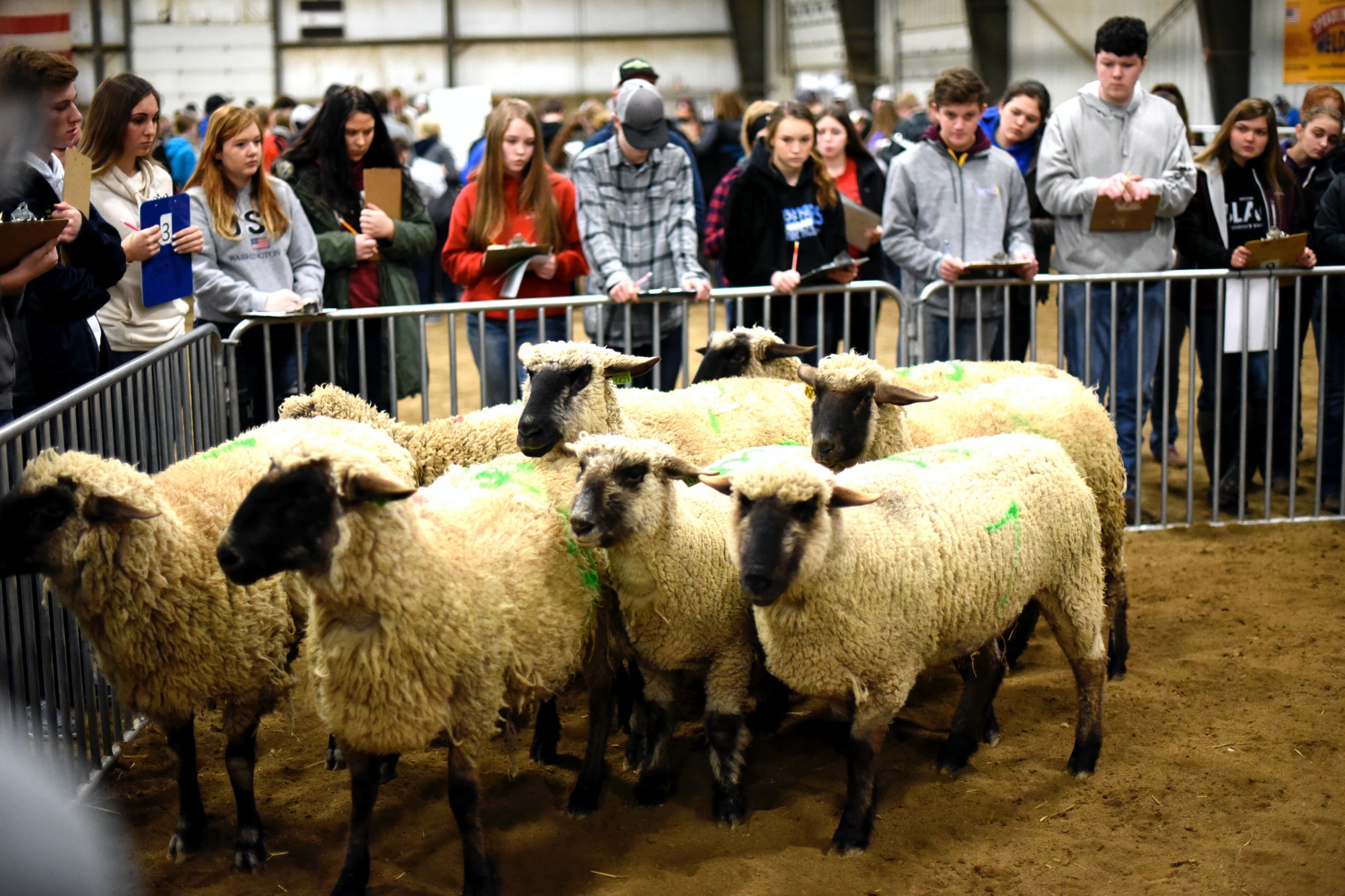 Aggies' Livestock Judging Contest Going Virtual - Wilmington College ...