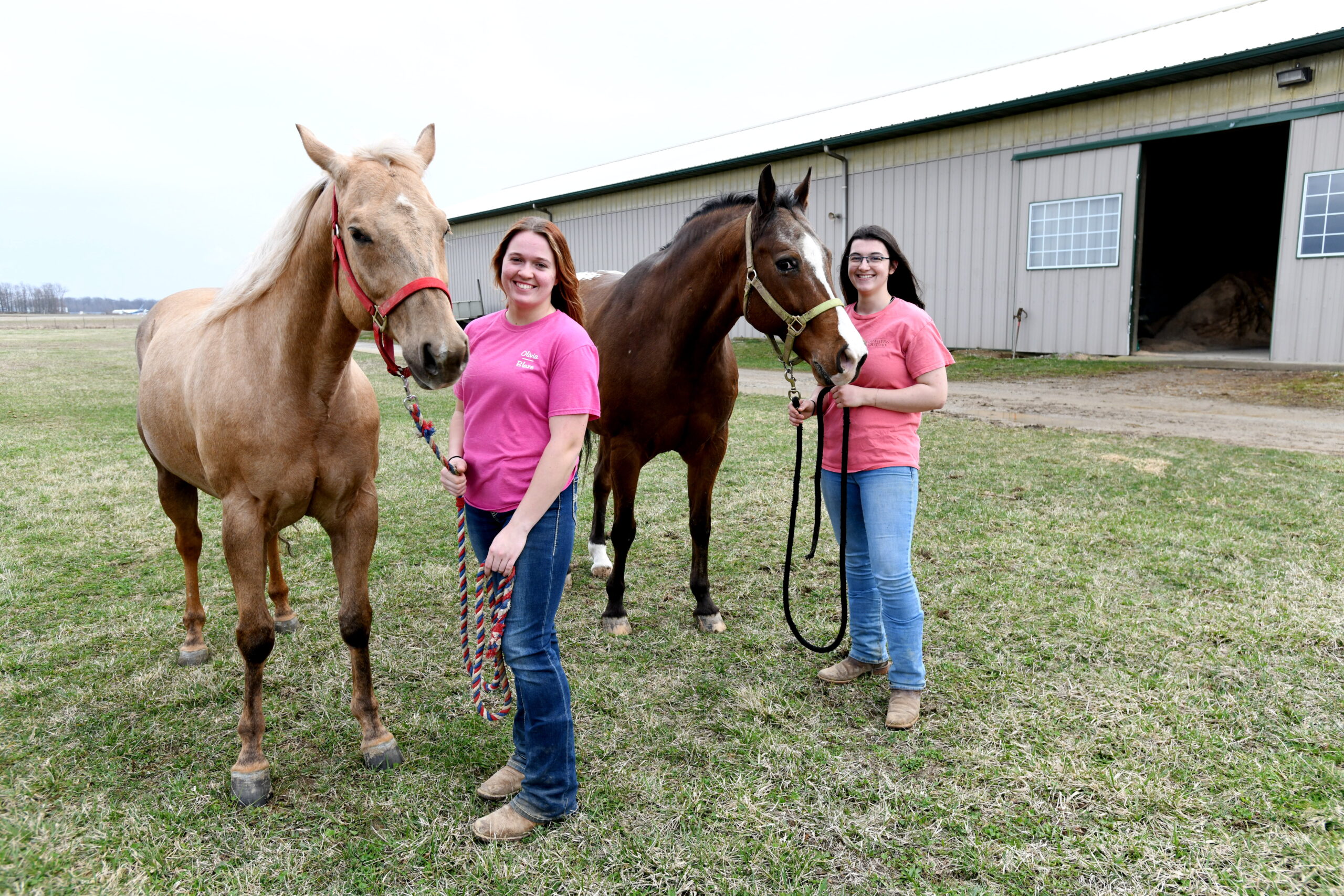 More World-Class Horses Donated to WC’s Equine Program - Wilmington ...